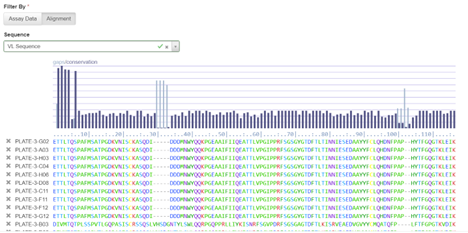 Bulk B Cell Analysis via NGS for Antibody Discovery