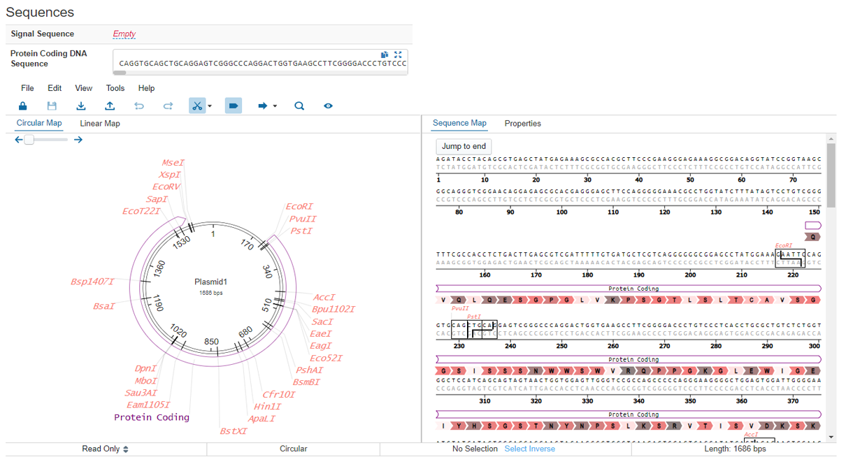Sequence Analysis